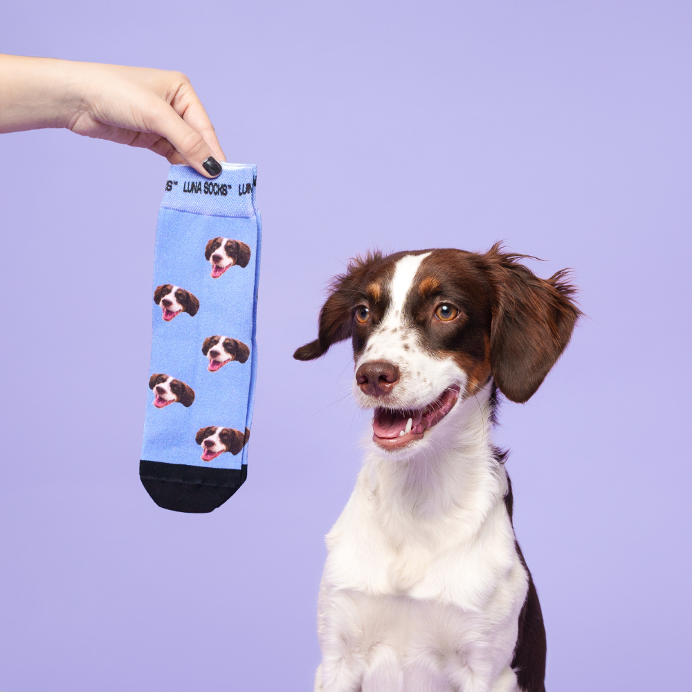Luna Socks - Custom Pet Socks - Order Now